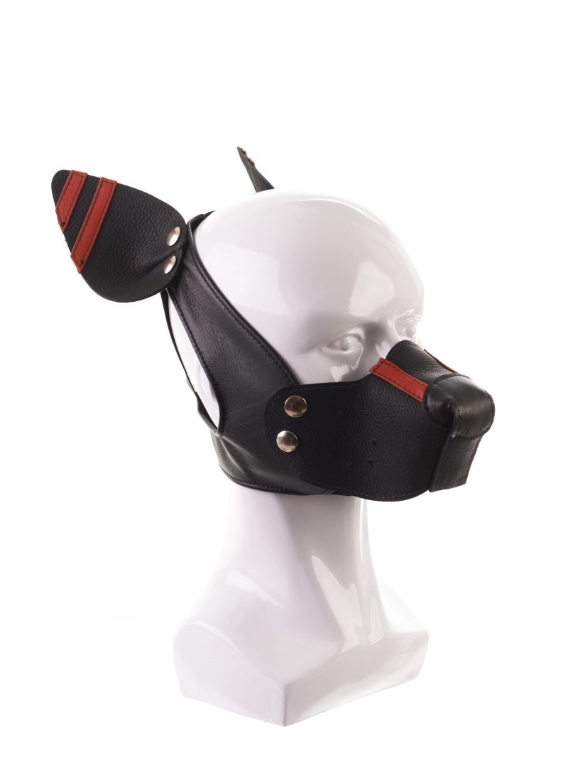 Leather K9 Hood With Ears – Mistrbear