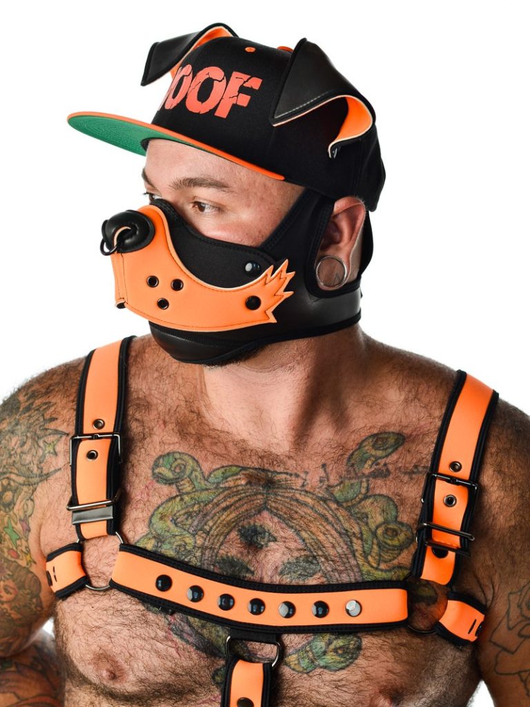 Neo K-Pup Hood With Ears – Colour Options – Mistrbear