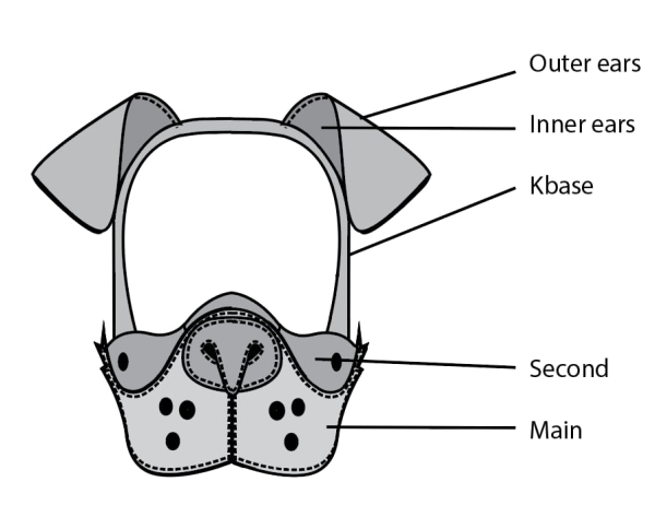 Neo K-Pup Ears – Colour Options – Mistrbear